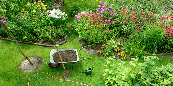 How to Create and Design an Island Garden Bed