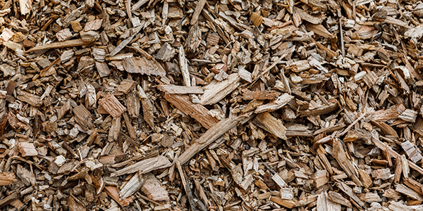 Bark Mulch: A Comprehensive Guide