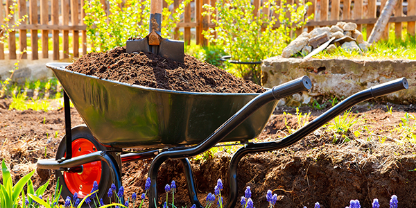 5 Must Have Landscaping Tools for Amateurs Professionals