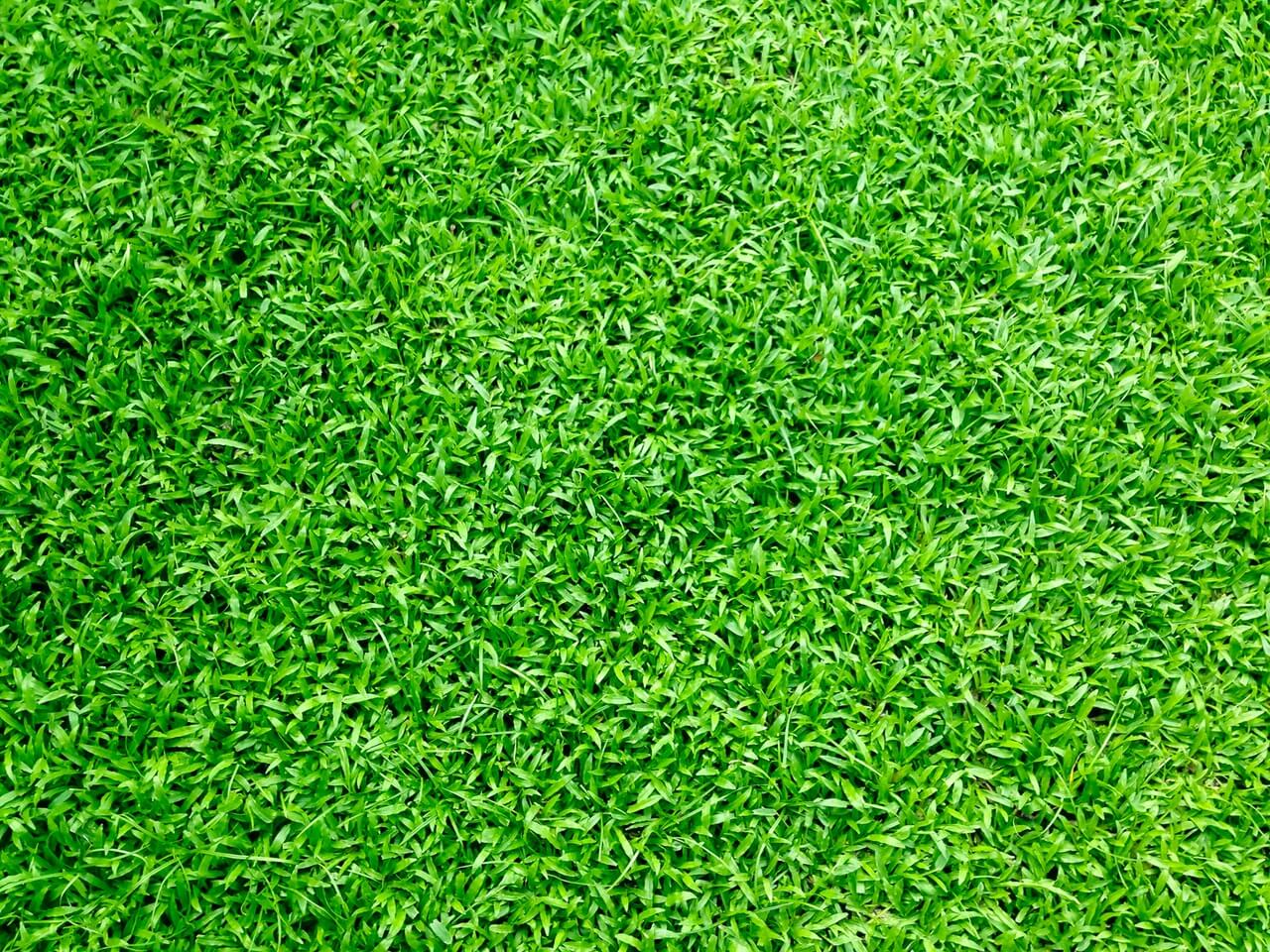 Sports Turf is a Real Winner!